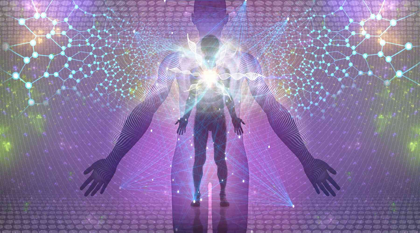 What is Biohacking? – Clearlight Saunas UK Ltd